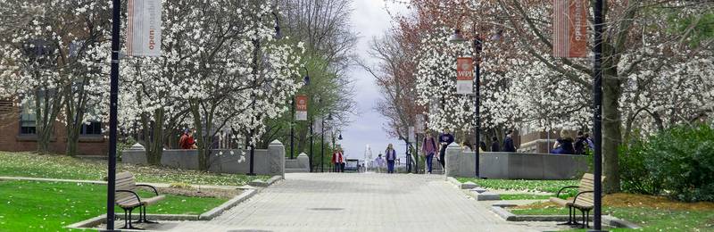 Worcester Polytechnic Institute - Niche