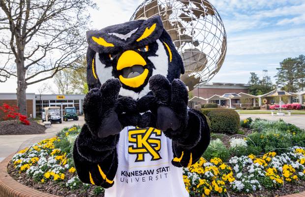 Kennesaw State University - Niche