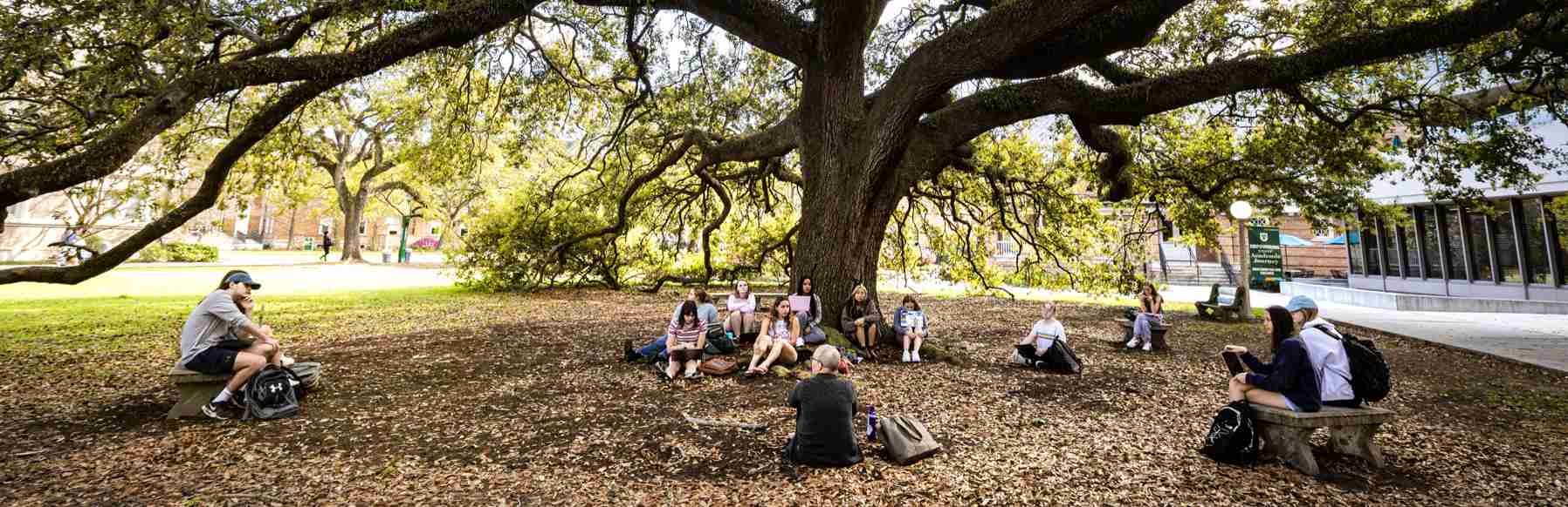 Tulane University - Niche