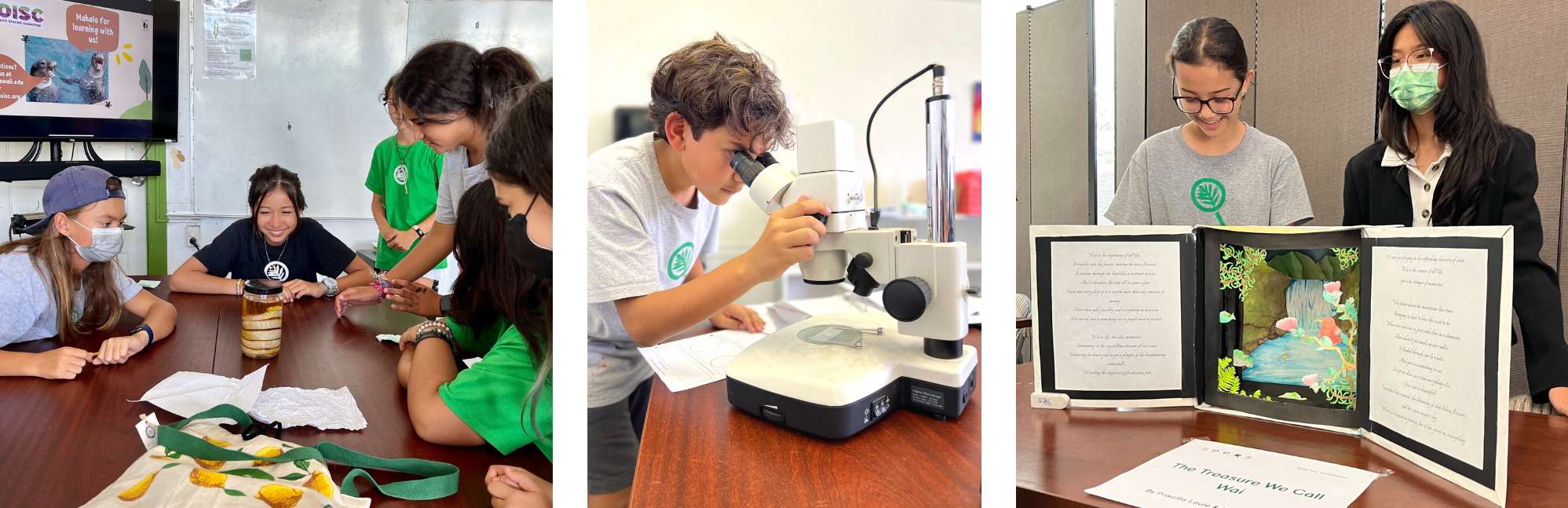 SEEQS: the School for Examining Essential Questions of Sustainability ...