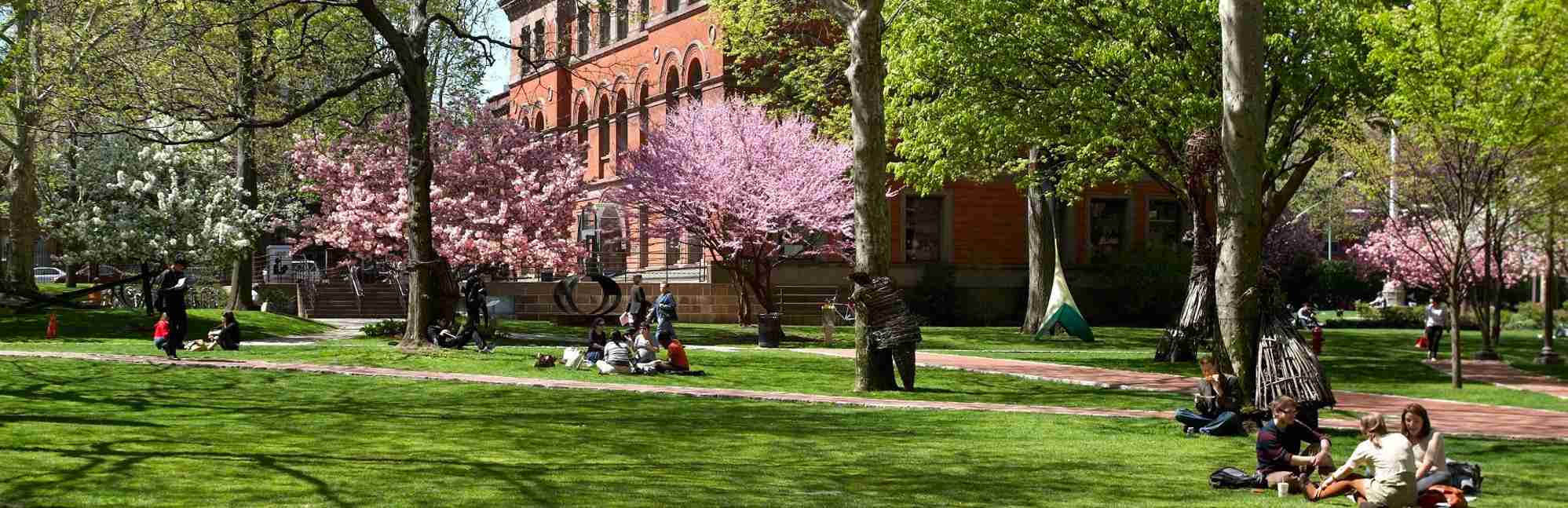 Pratt Institute - Niche