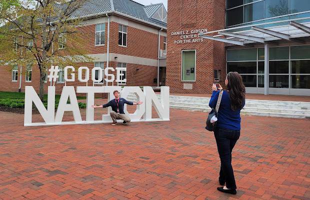 Washington College Goose Logo