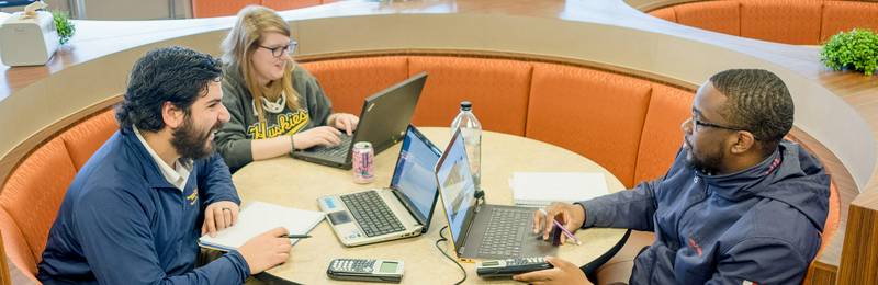 University of Michigan - Flint Graduate Programs - Niche