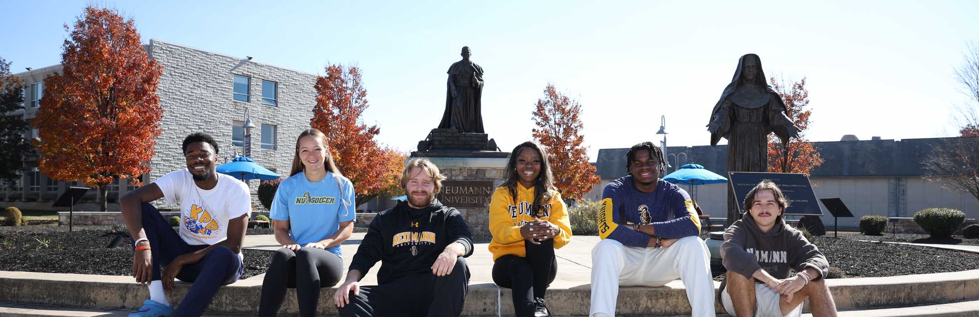 Neumann University - Niche