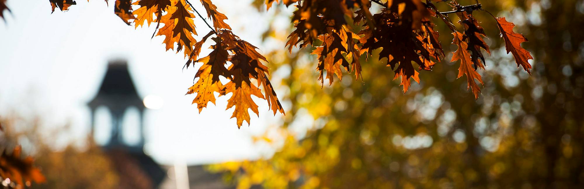 Indiana University of Pennsylvania Graduate Programs - Niche