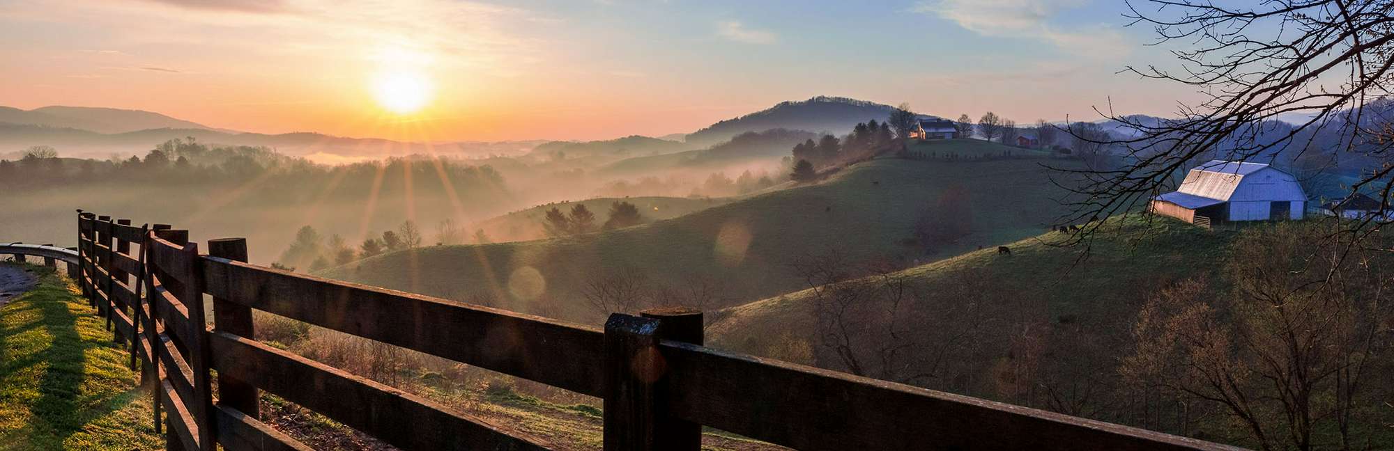 Oak Hill Academy in VA - Niche