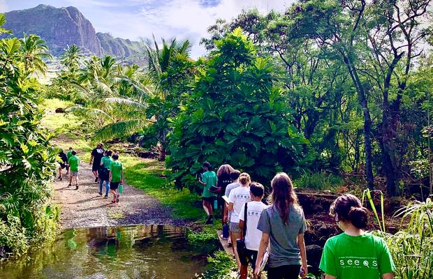 SEEQS: the School for Examining Essential Questions of Sustainability ...