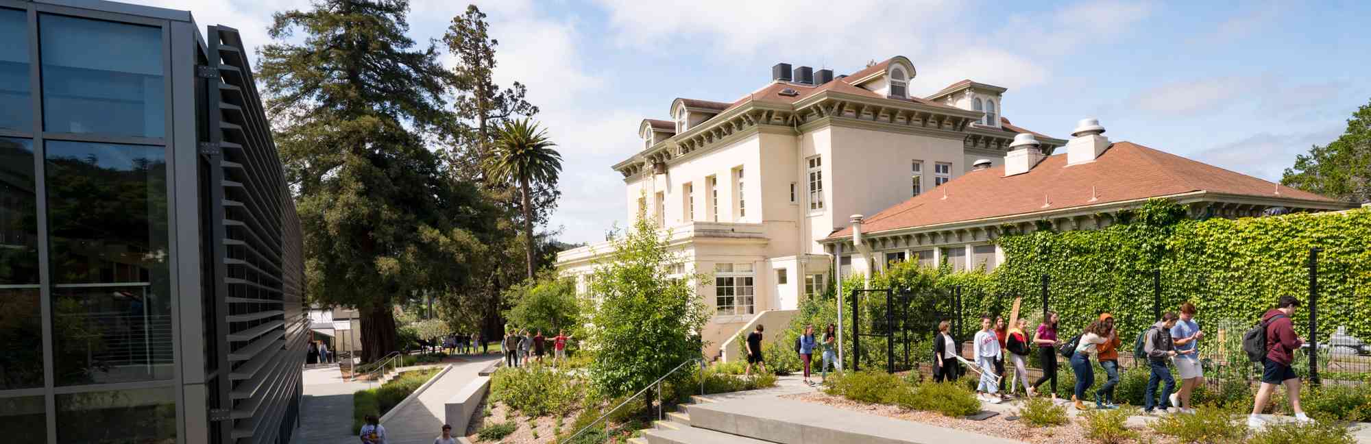 Marin Academy in San Rafael, CA - Niche