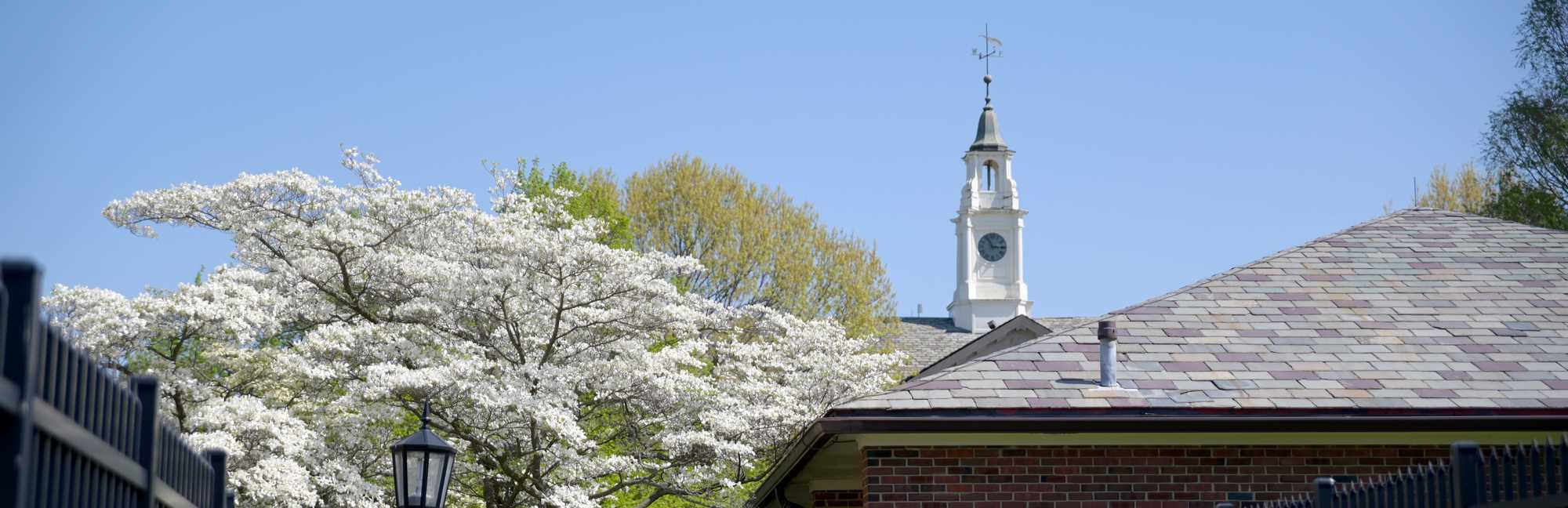 Tower Hill School in Wilmington, DE - Niche