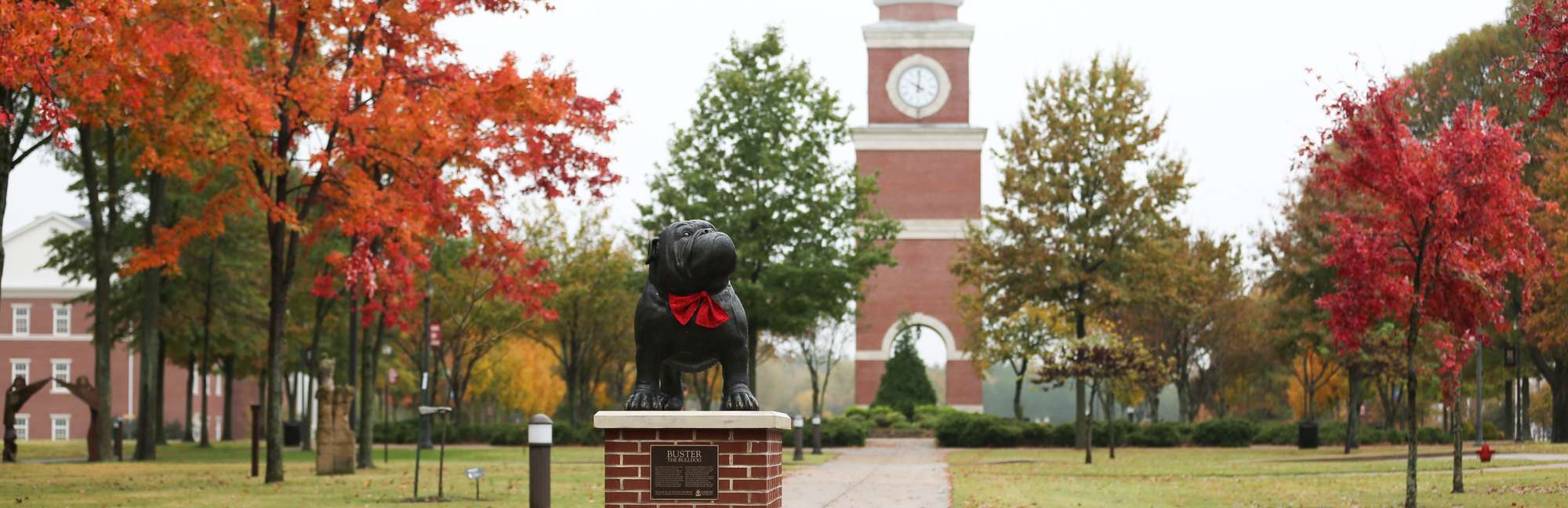 Union University Graduate Programs - Niche