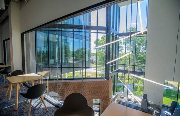 Thomas More University - Niche