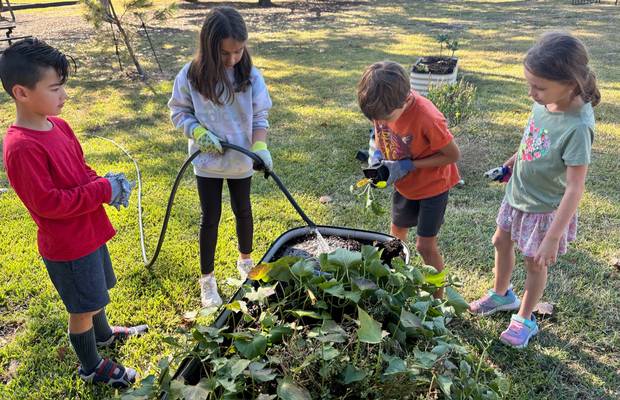 St. Catherine's Montessori in Houston, TX - Niche