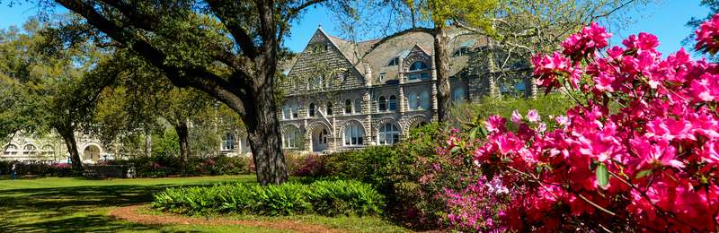 Tulane University - Niche