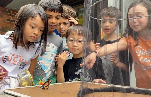 The Foote School in New Haven, CT - Niche