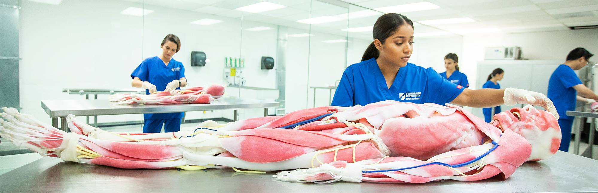 Stanbridge University - Niche