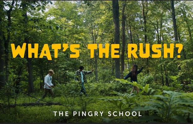 The Pingry School in NJ - Niche