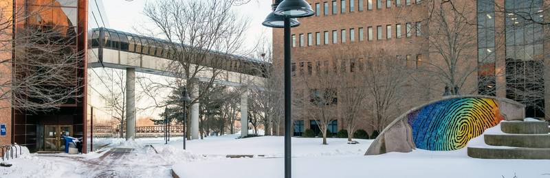 University of Michigan - Flint - Niche