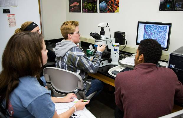 Wartburg College - Niche