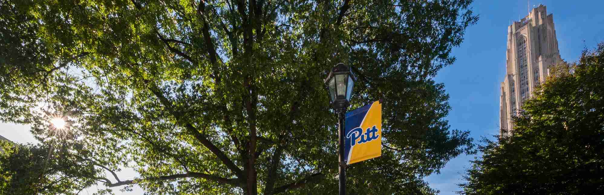 University of Pittsburgh Graduate Programs - Niche