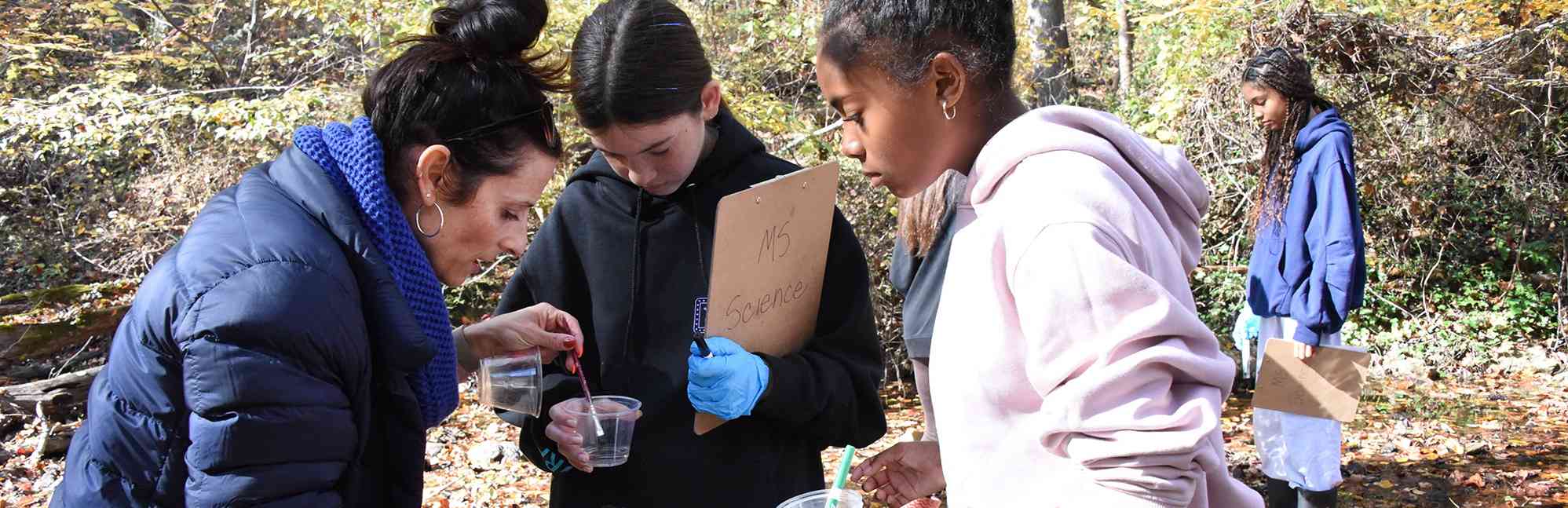 Sandy Spring Friends School in Olney, MD - Niche