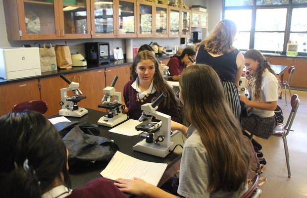 Preston High School in The Bronx, NY - Niche