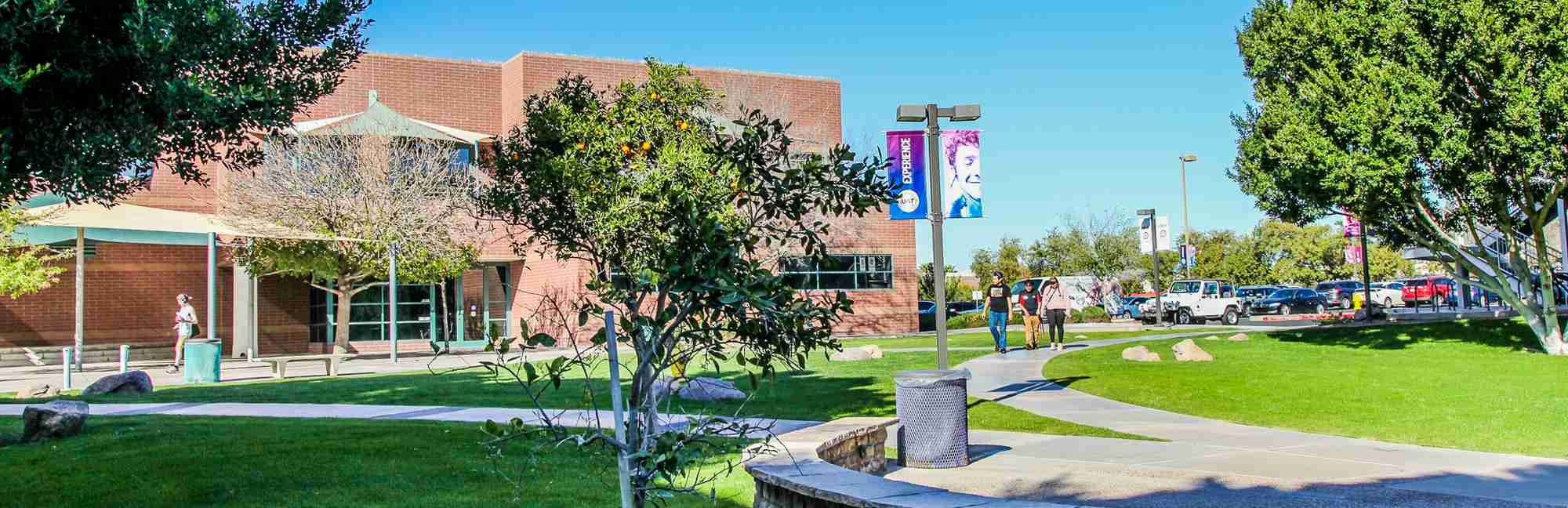 University of Advancing Technology - Niche