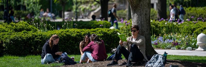 University of Chicago - Niche