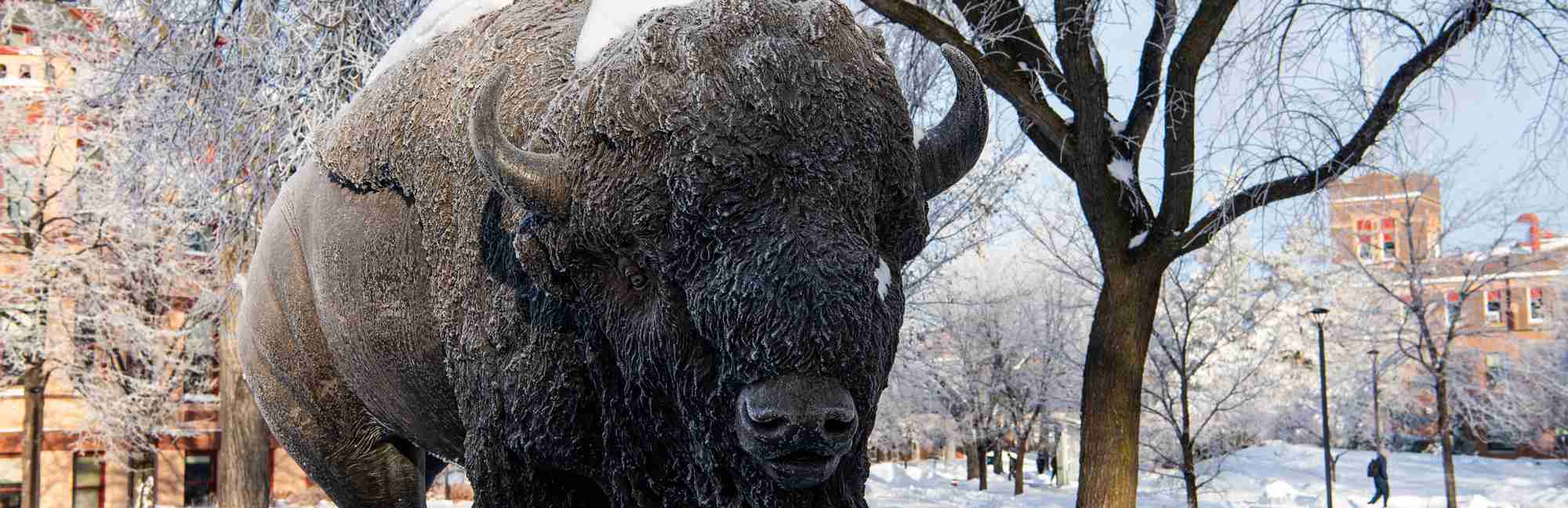 North Dakota State University - Niche