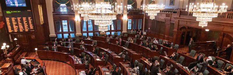 College of Public Affairs and Education - University of Illinois at ...