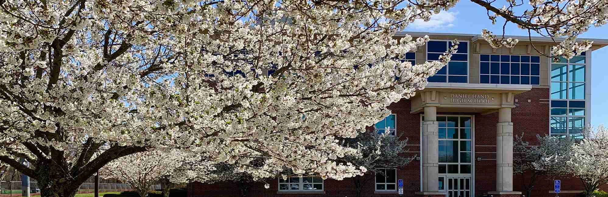 Daniel Hand High School in Madison, CT - Niche