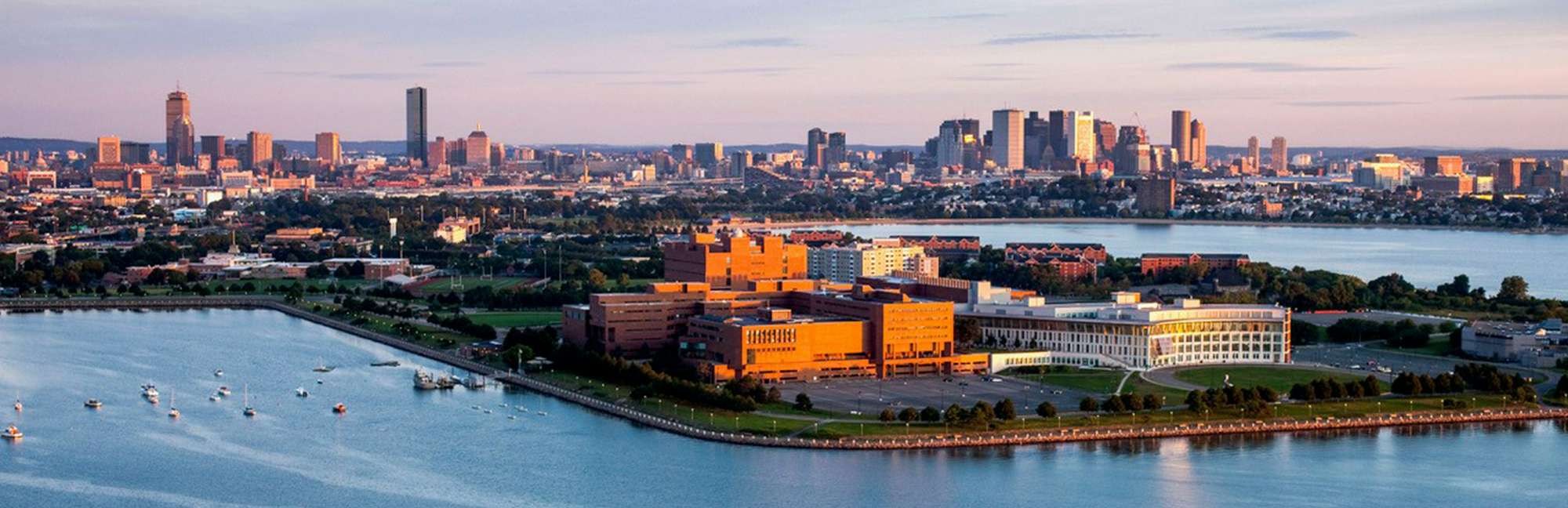 University Of Massachusetts Boston Niche
