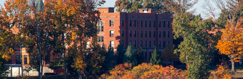 Springfield College - Massachusetts Graduate Programs - Niche