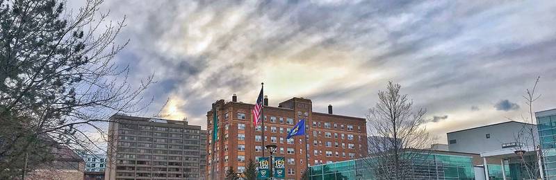 Wayne State University - Niche