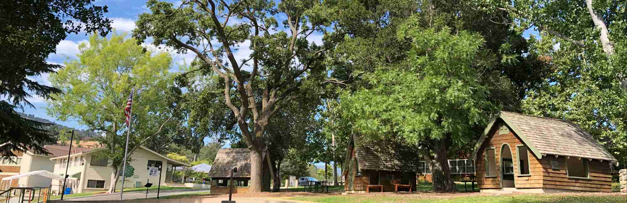 Hillbrook School in Los Gatos, CA - Niche