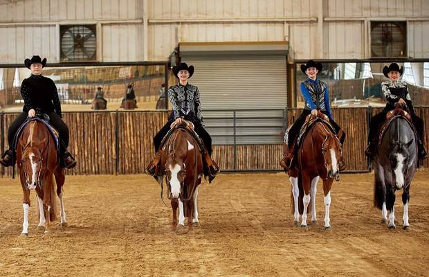 Universal Academy - Niche