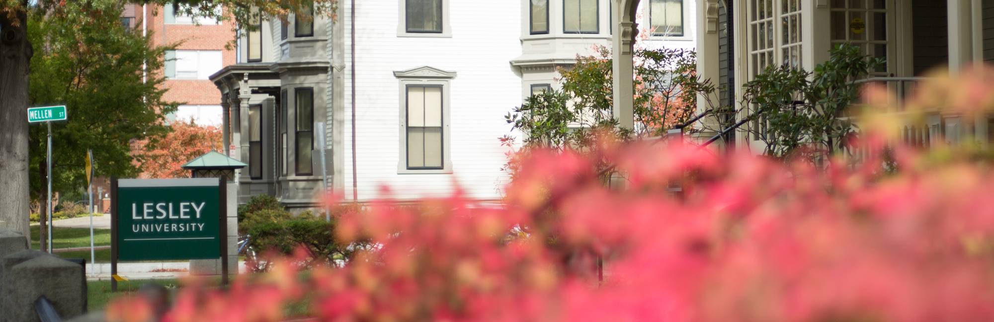 Lesley University - Niche