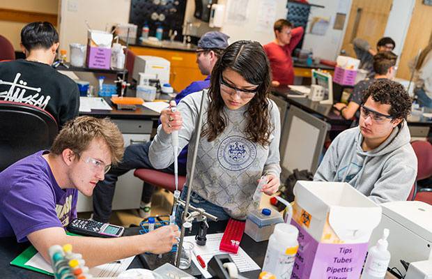 James Madison University - Niche