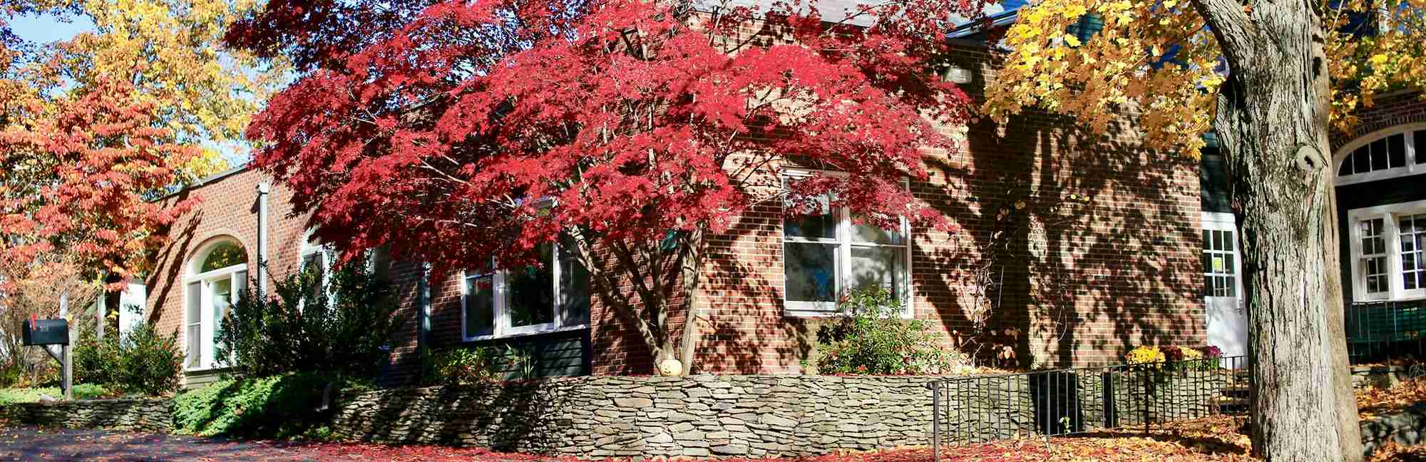 Delphi Academy of Boston in Milton, MA - Niche