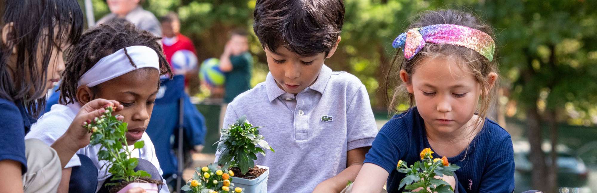 Gaston Day School in Gastonia, NC - Niche