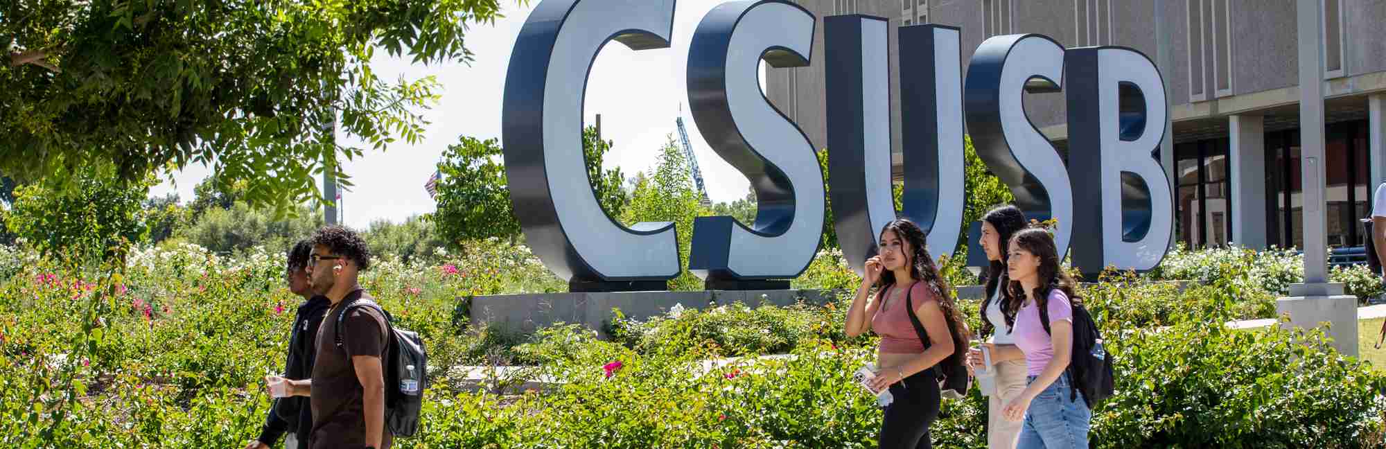 California State University, San Bernardino - Niche