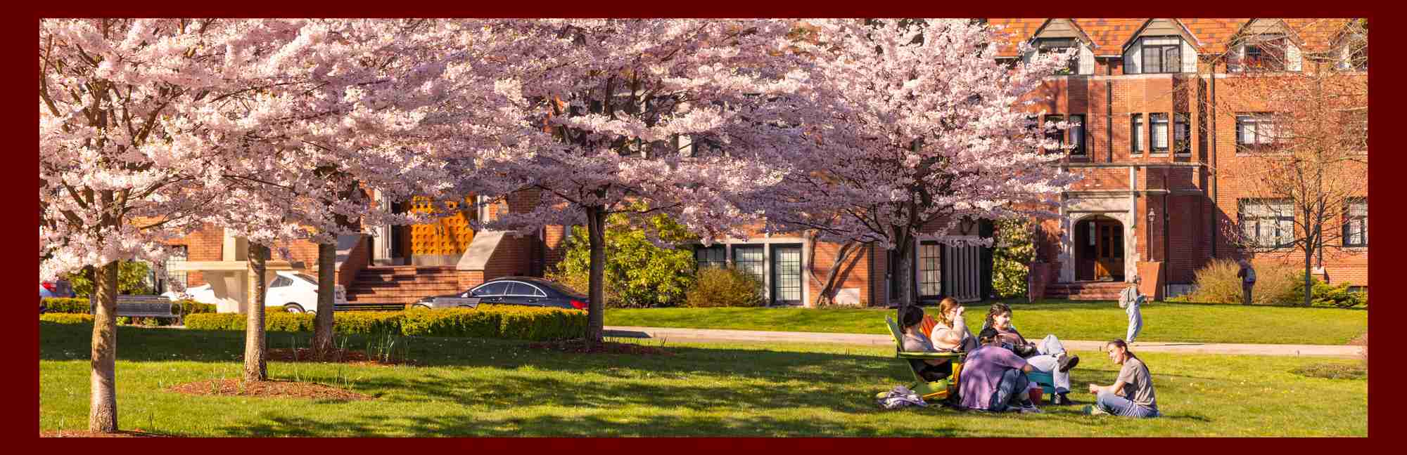 Puget Sound University Logo