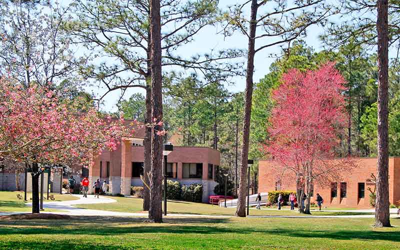 East Georgia State College - Niche