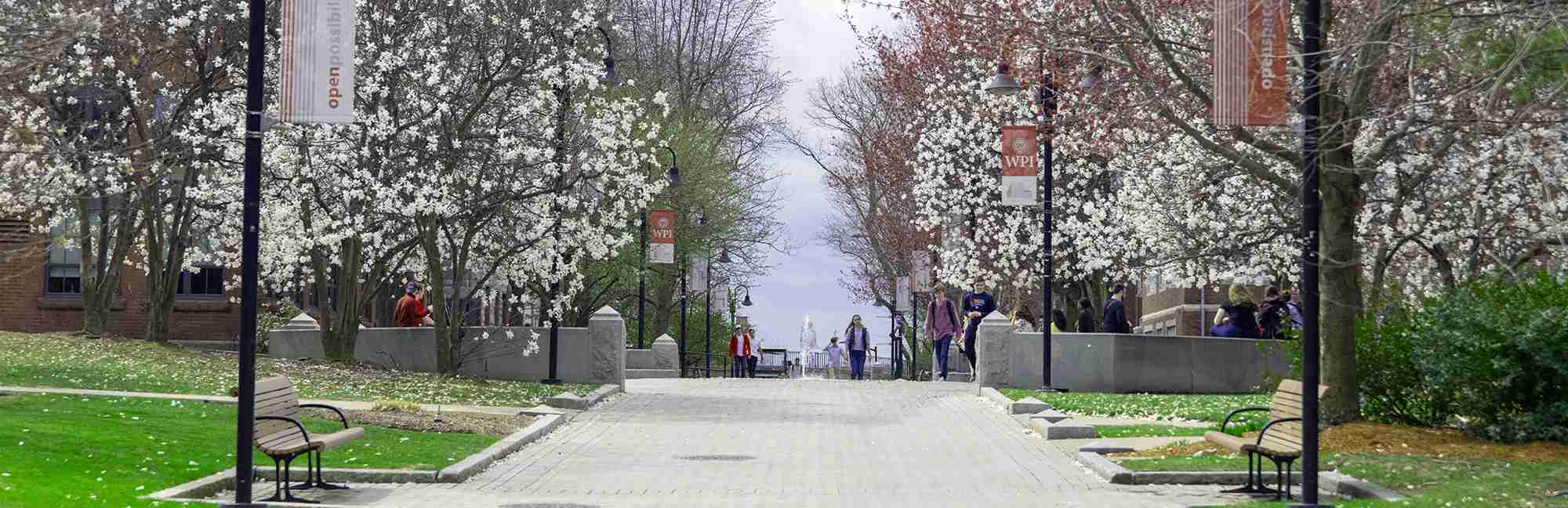 Worcester Polytechnic Institute - Niche