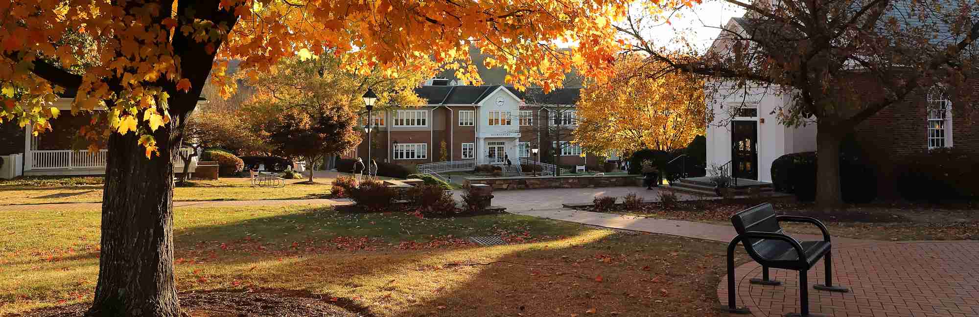 Gill St. Bernard's School in NJ - Niche