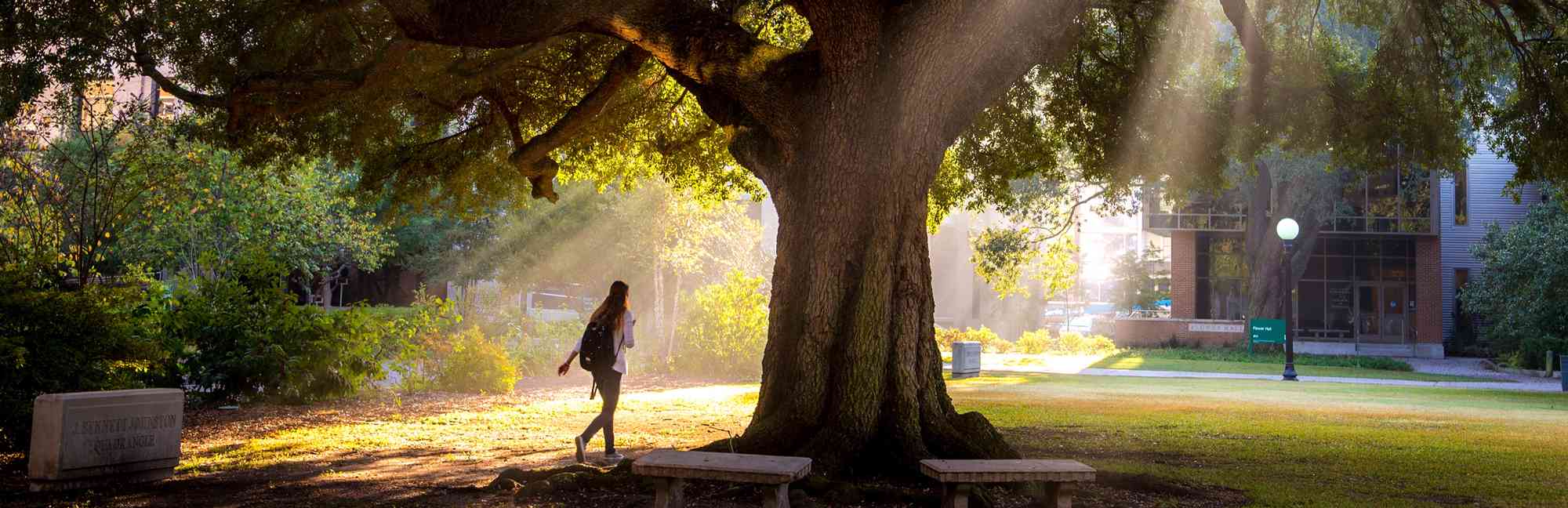Tulane University - Niche