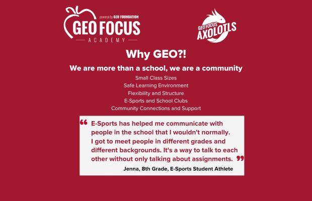 GEO Focus Academy - Niche