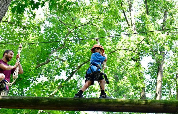 Benchmark School in PA - Niche