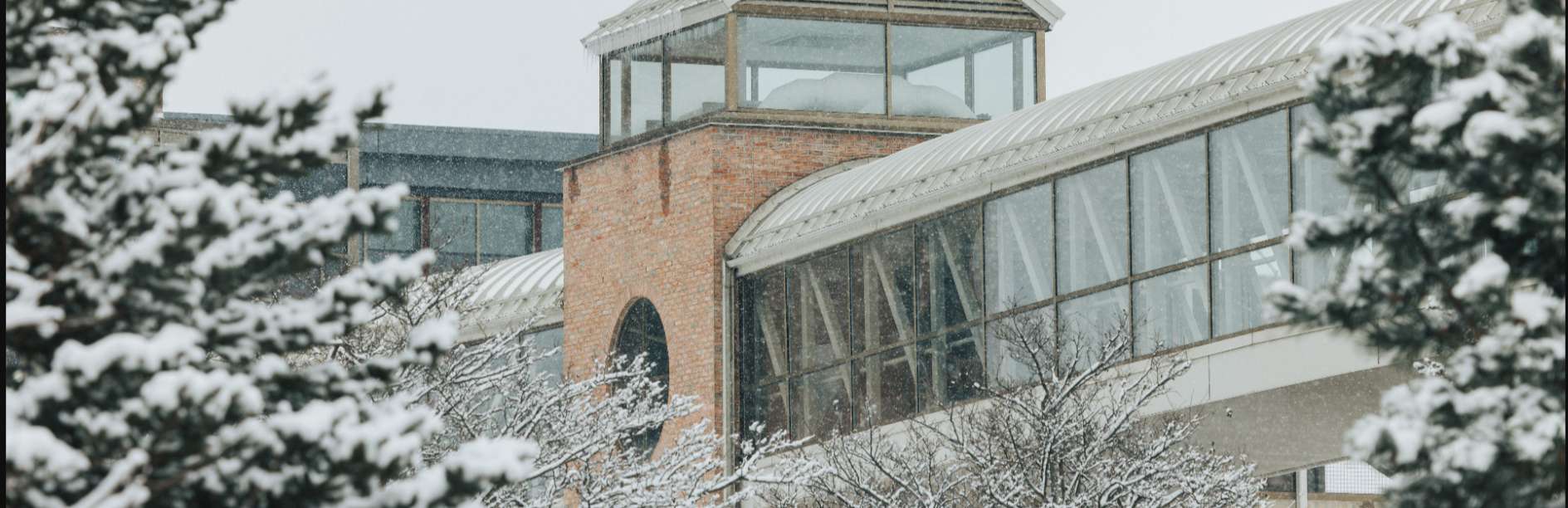 Calvin University - Niche