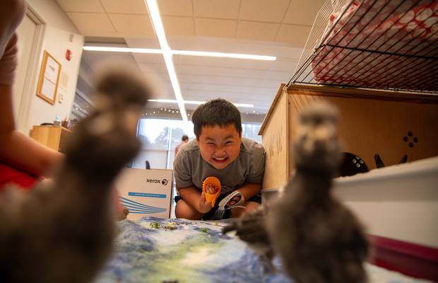 The University of Chicago Laboratory Schools in Chicago, IL - Niche