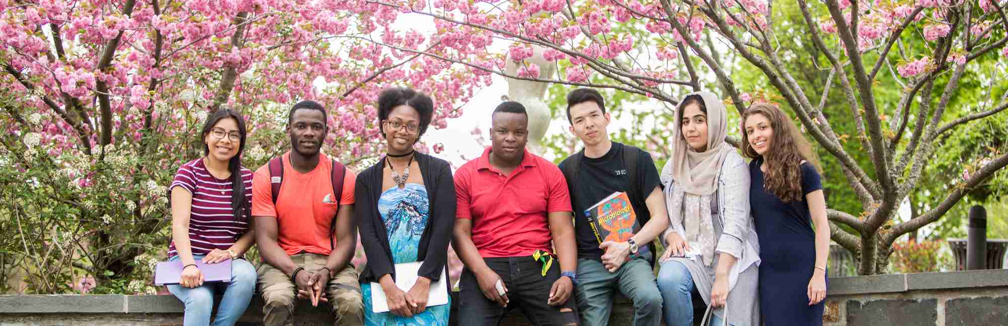 Queensborough Community College - CUNY - Niche